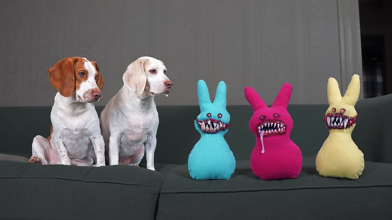 Dogs face evil bunnies in a whirlwind carrot battle