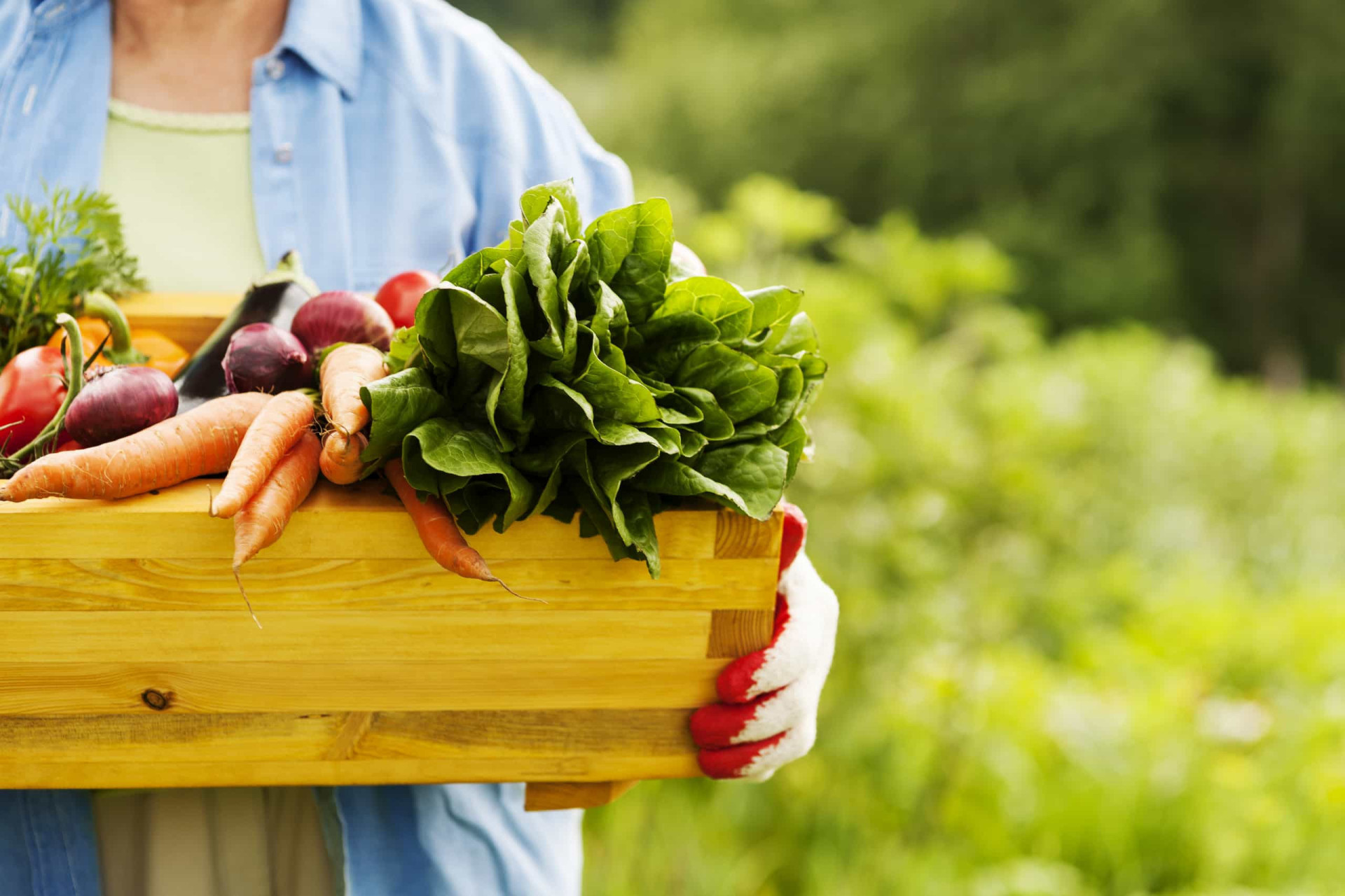 Is biologisch eten gezonder? Een diepgaande blik