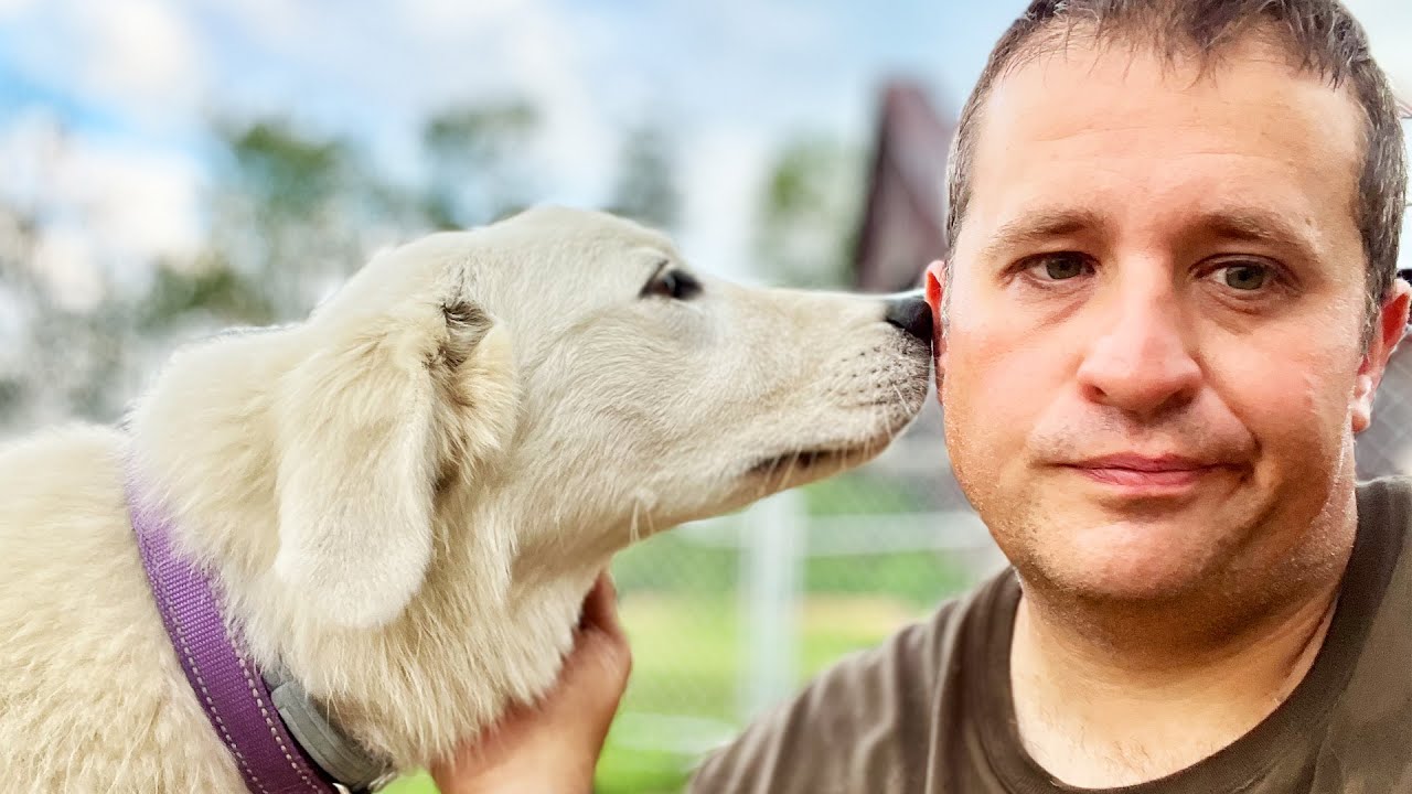 Spilling the tea on the drama with our farm dog