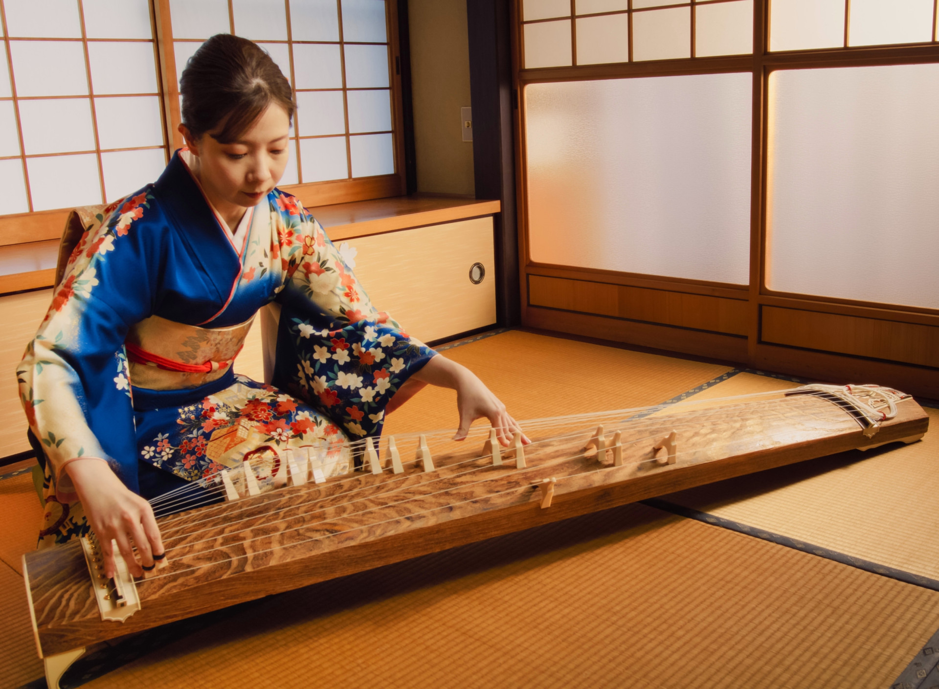 Die traditionellen Instrumente von Nationen weltweit