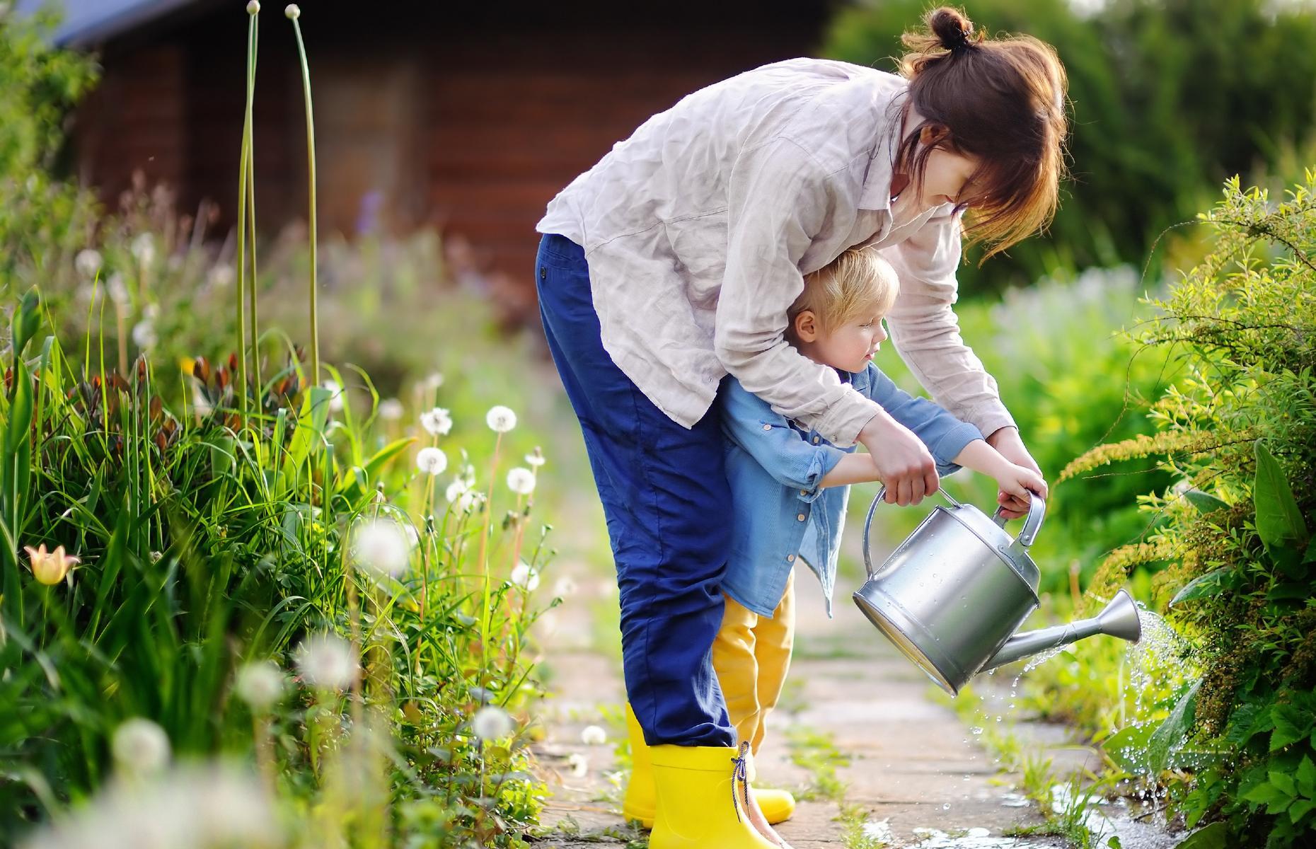 30 top tips from experts for growing your own food