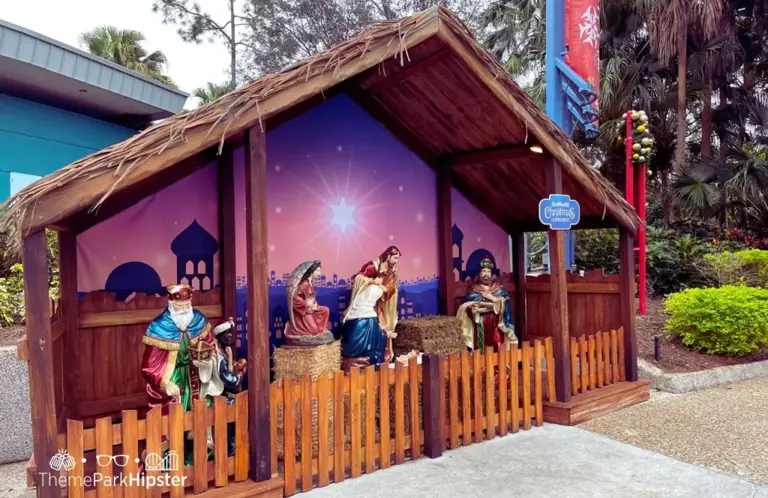Uncover the Top Must-See Events at SeaWorld Orlando – You Won’t Believe ...