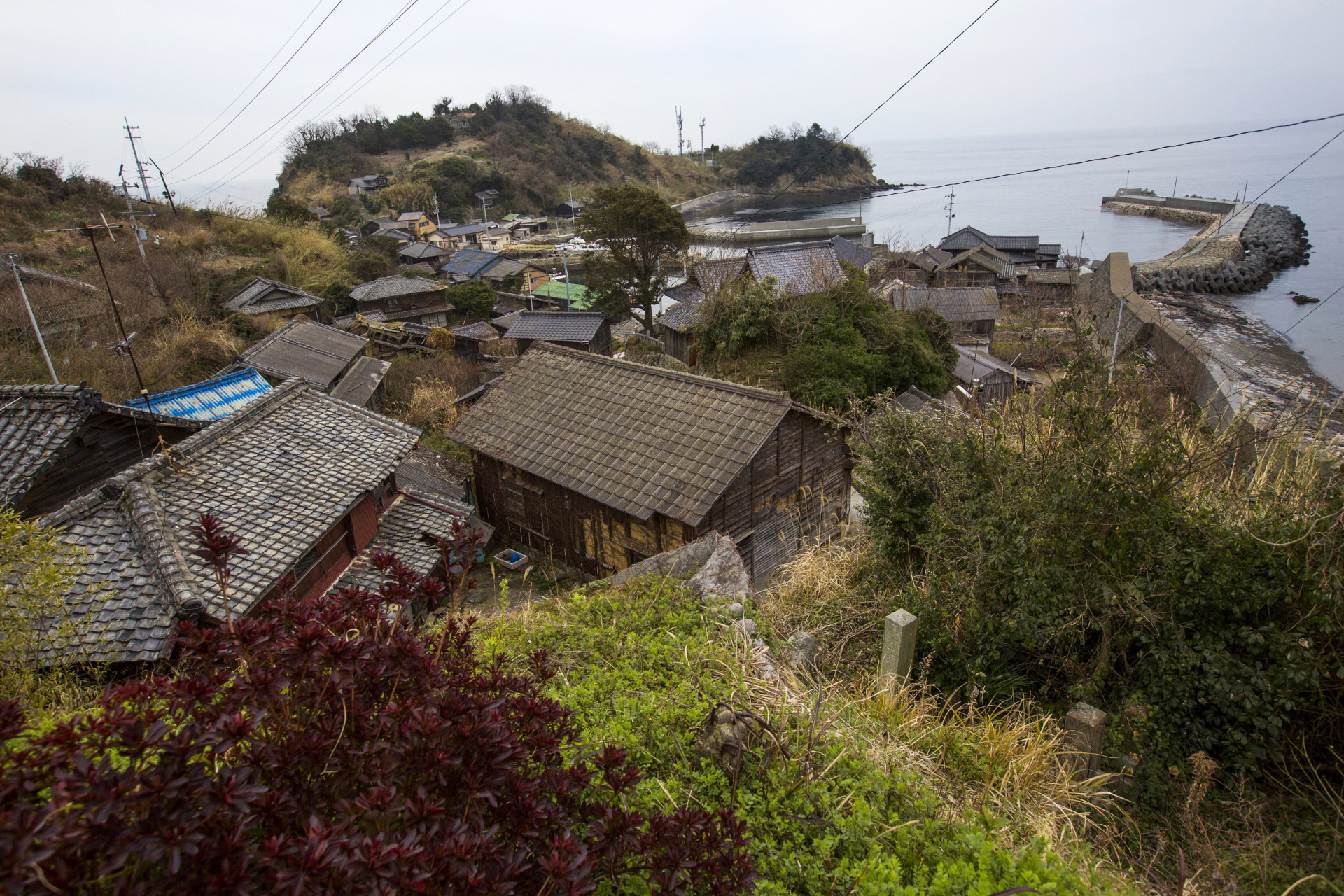 Peek inside Japan's surreal island of cats