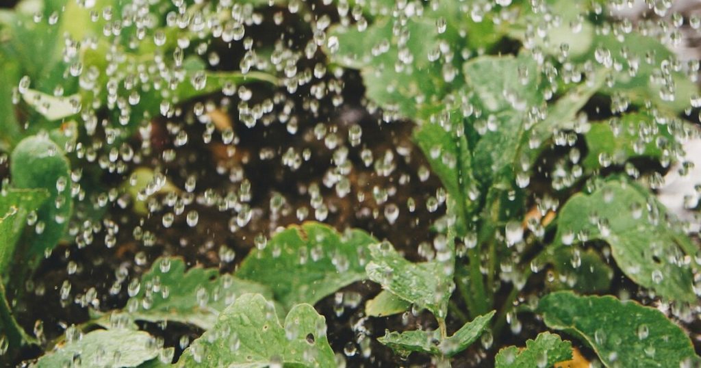 6 Homemade Weed Killers: Natural, Safe, Non-Toxic DIY Weed Killers