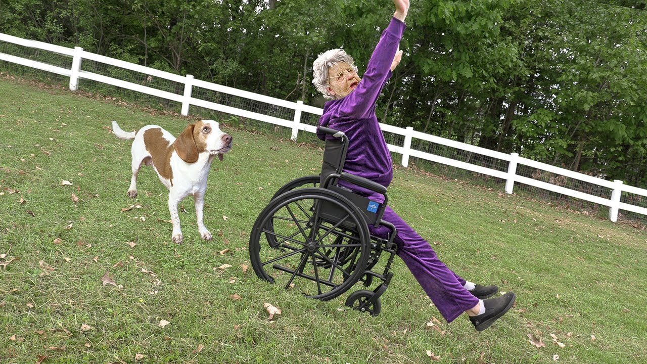 Dogs push old lady down hill again in silly stunt