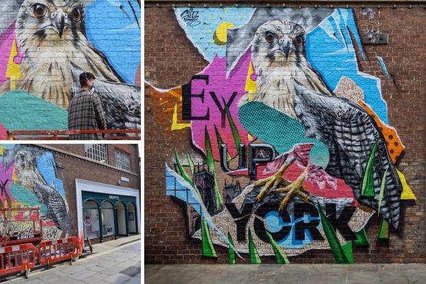 On this day in 2024: SledOne finishes falcon-inspired mural in York