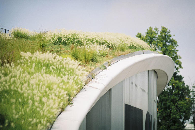 Biophilic Design Is the Signature Style of Plant Lovers Everywhere