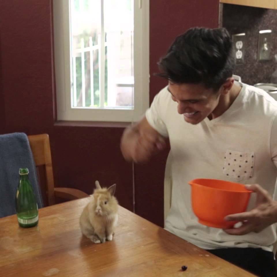 Cat Gets Jealous About Dad's New Friend