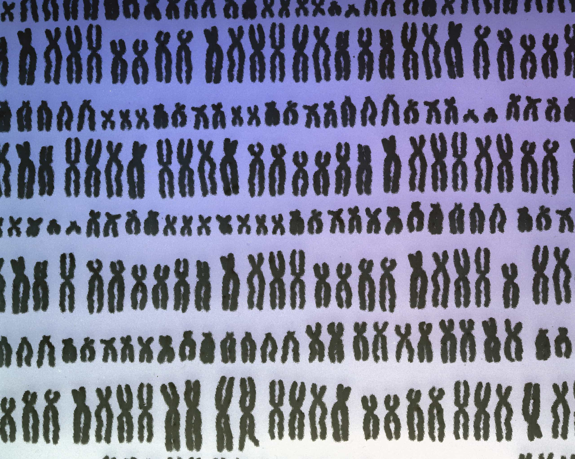 What you might not know about Adam and Eve