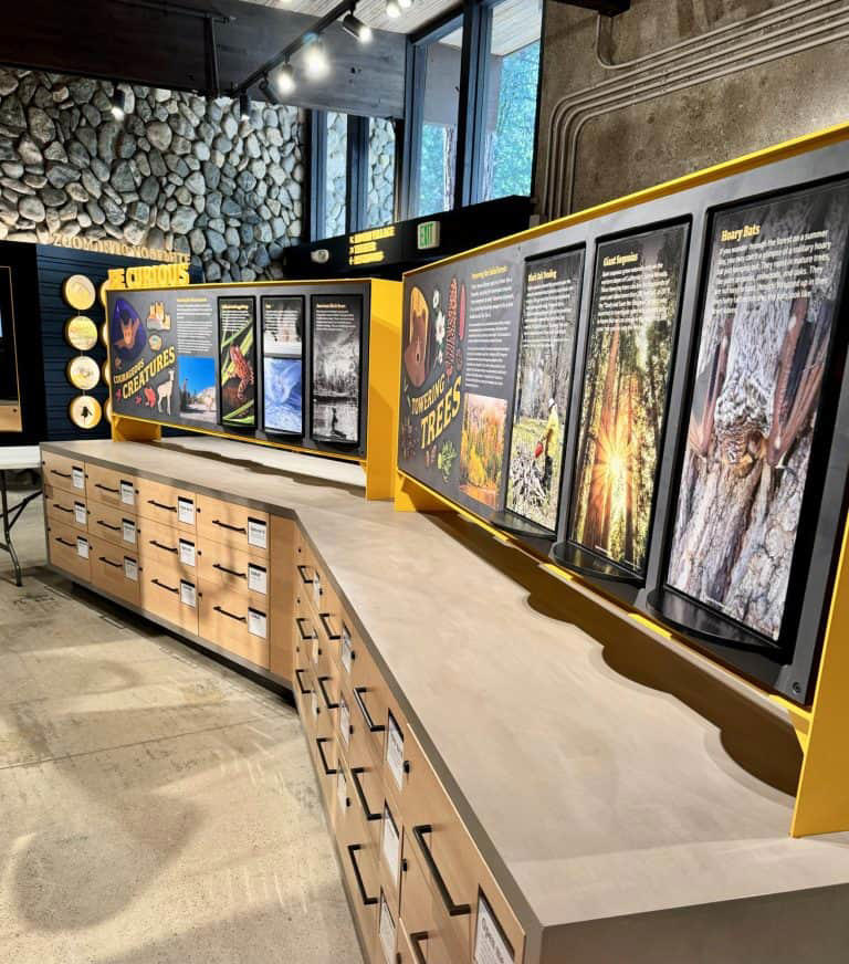 The Best Things to do in Yosemite National Park with Kids on a Family ...