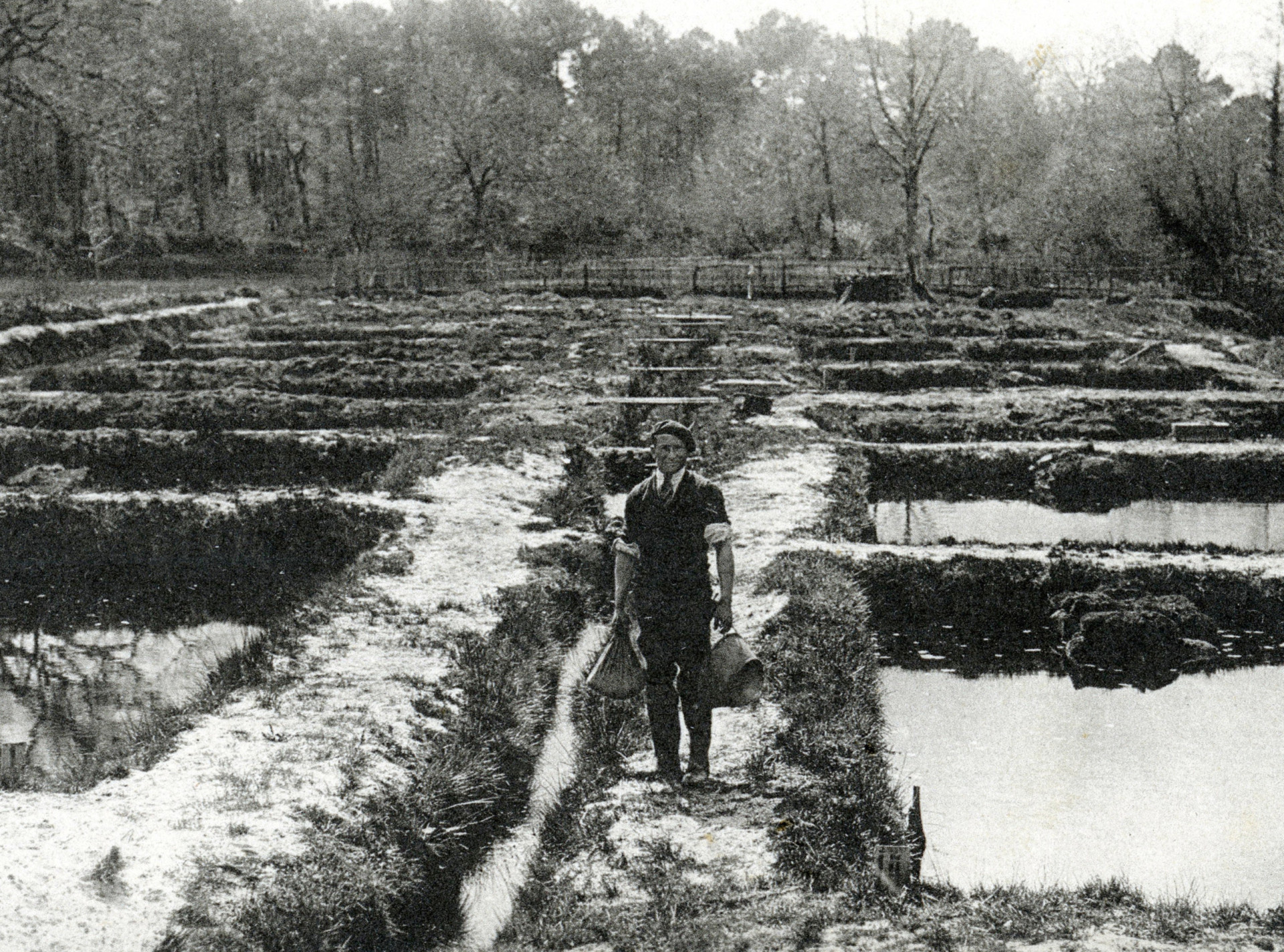 The best—and worst—Victorian-era occupations