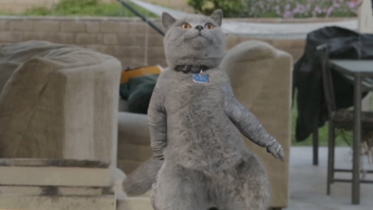 Prince Michael the Cat's Jealous Gets Out of Hand