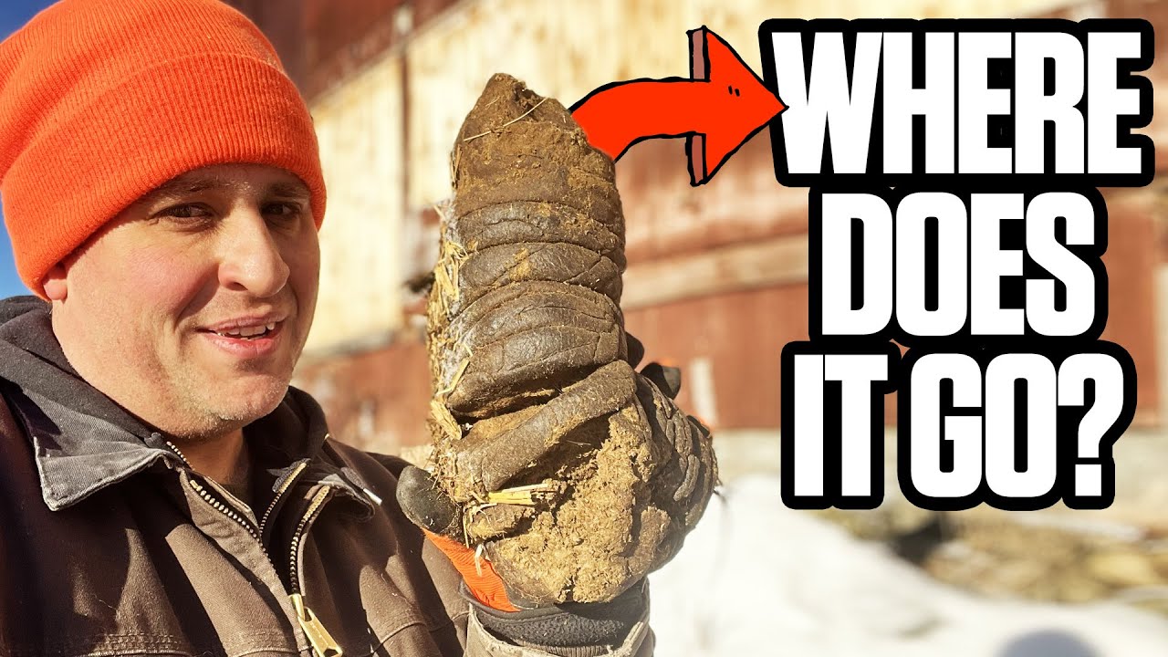 How I manage all the messy farm cleanup every day