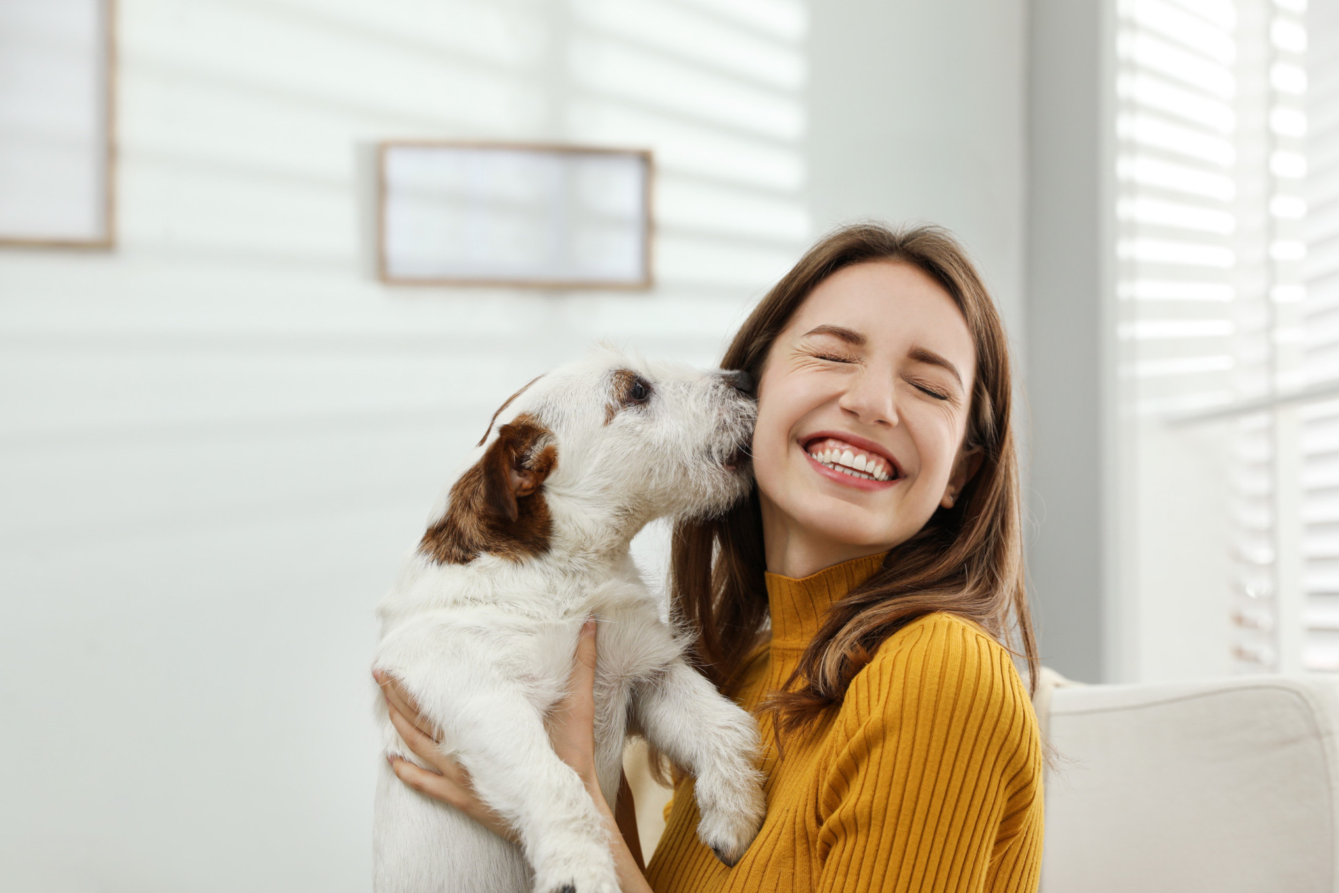 Fascinerende feitjes over je hond