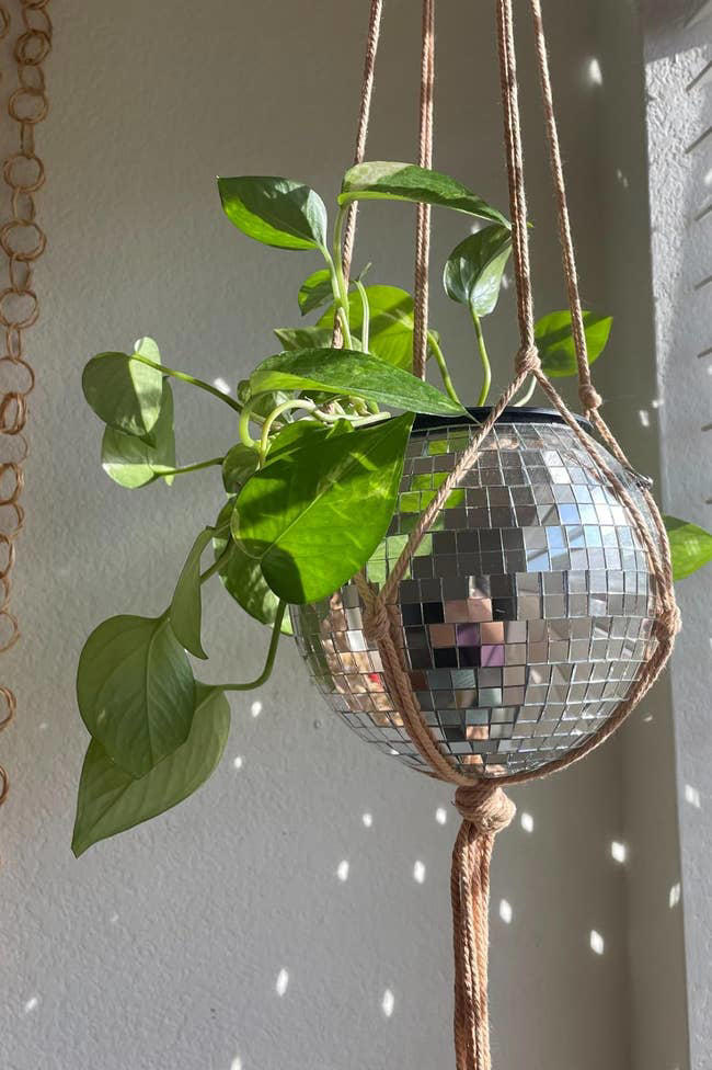 34 cute items that'll be perfect gifts... for you