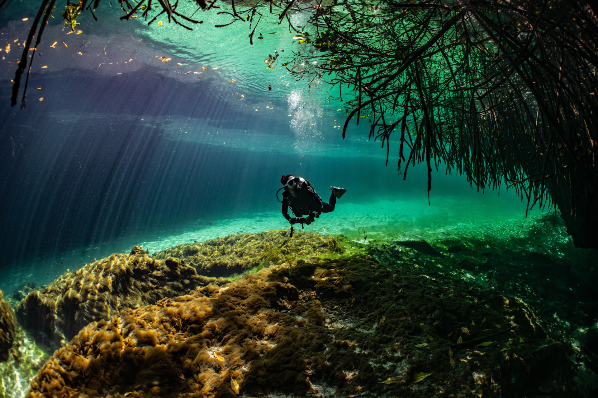 Islands inside islands: Impressive recursive islands around the world