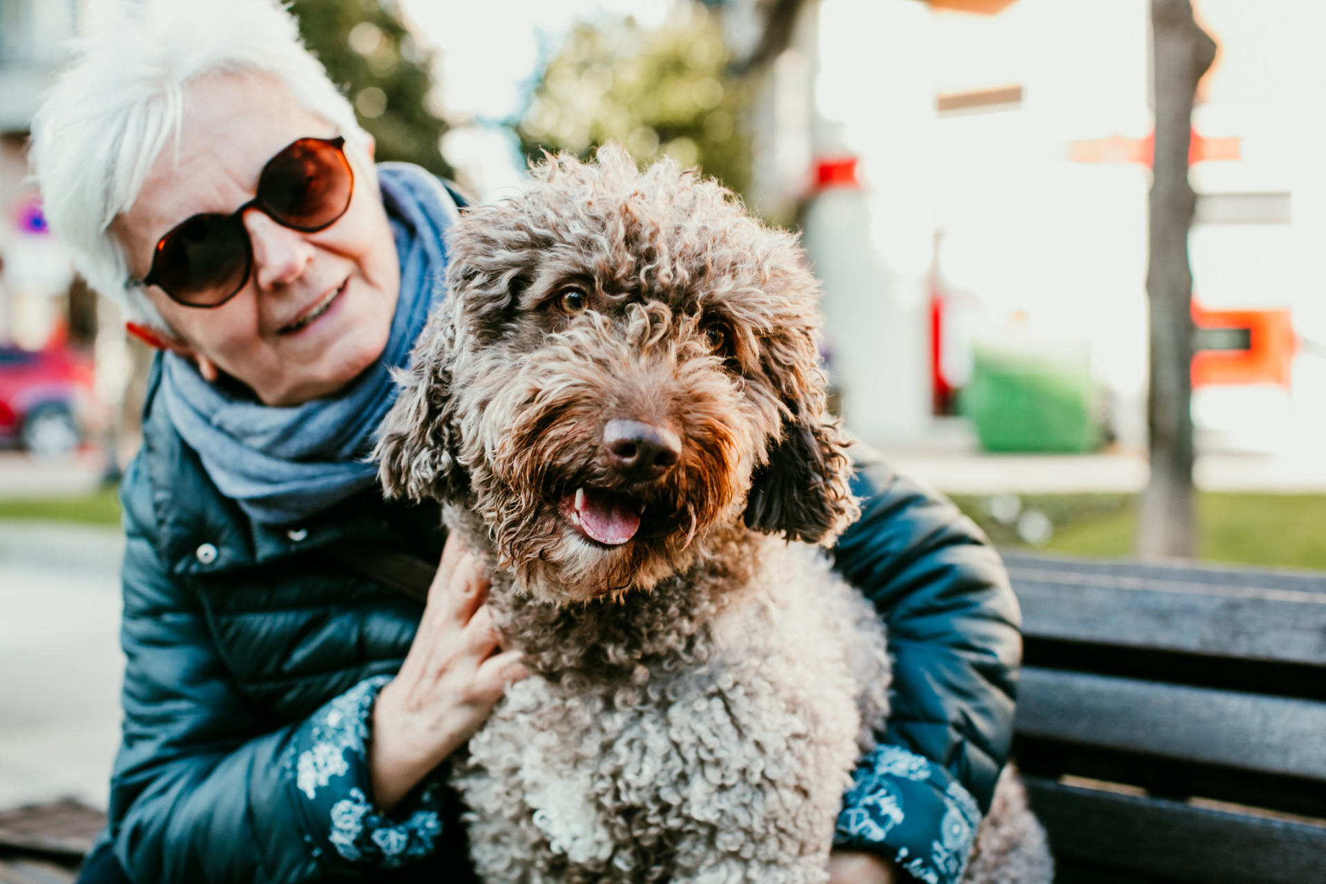 Fascinerende feitjes over je hond