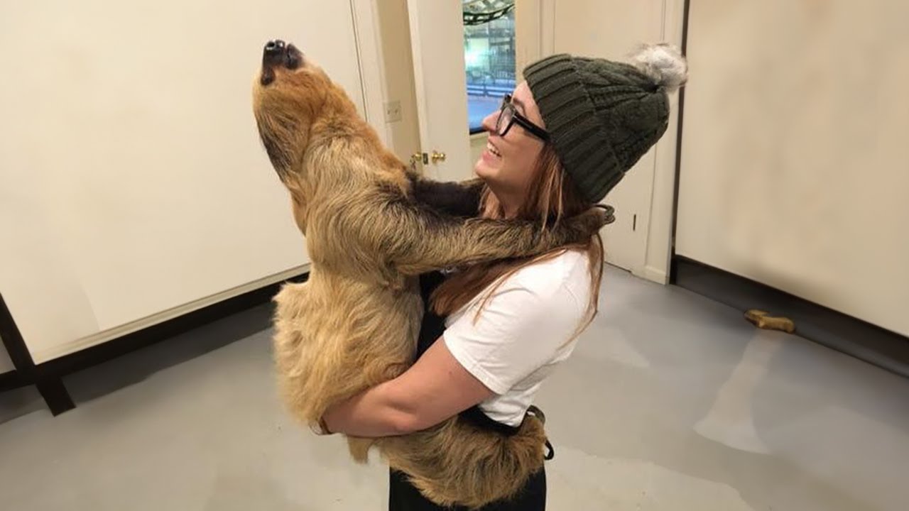Bonds between humans and animals that amaze