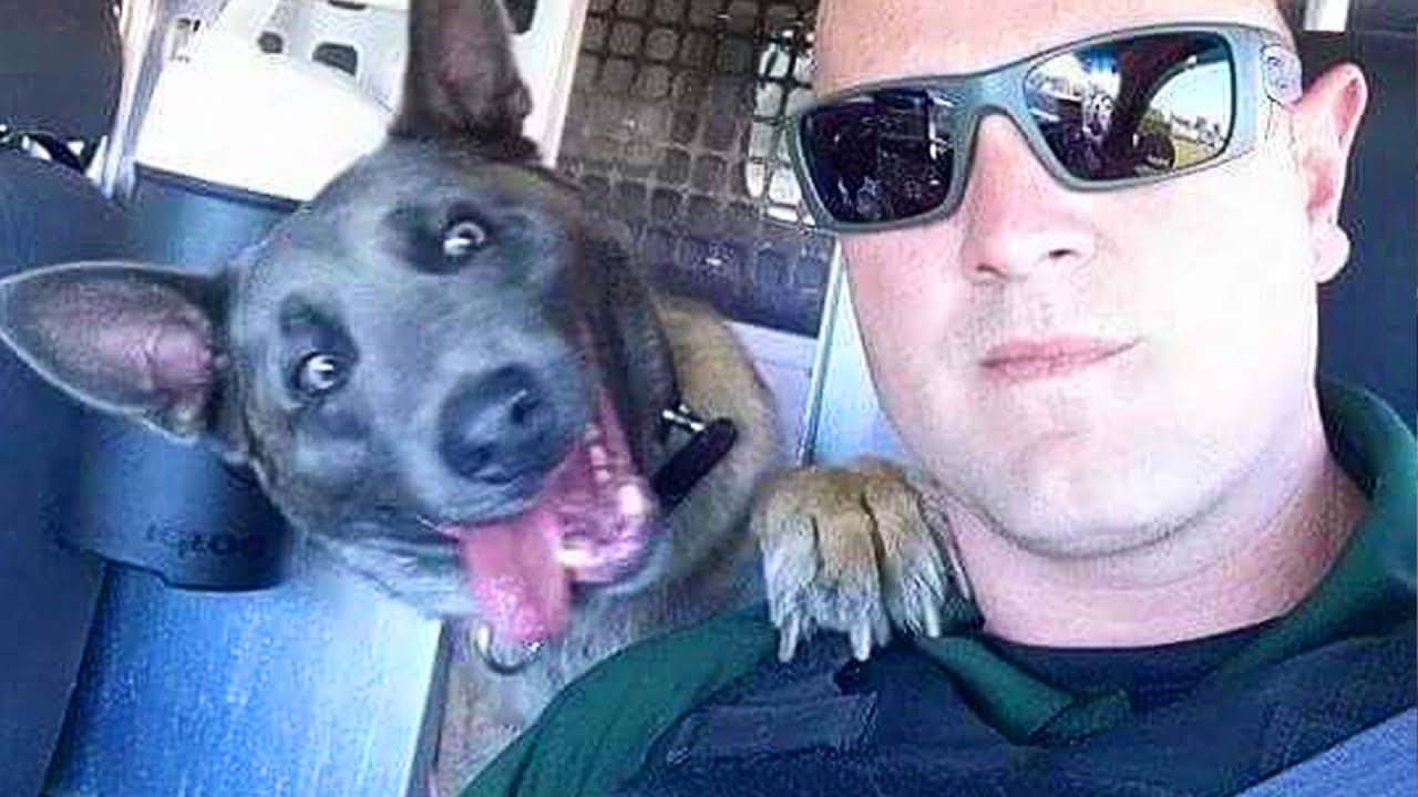 Dog Acts More Like a Sibling Than a Pet