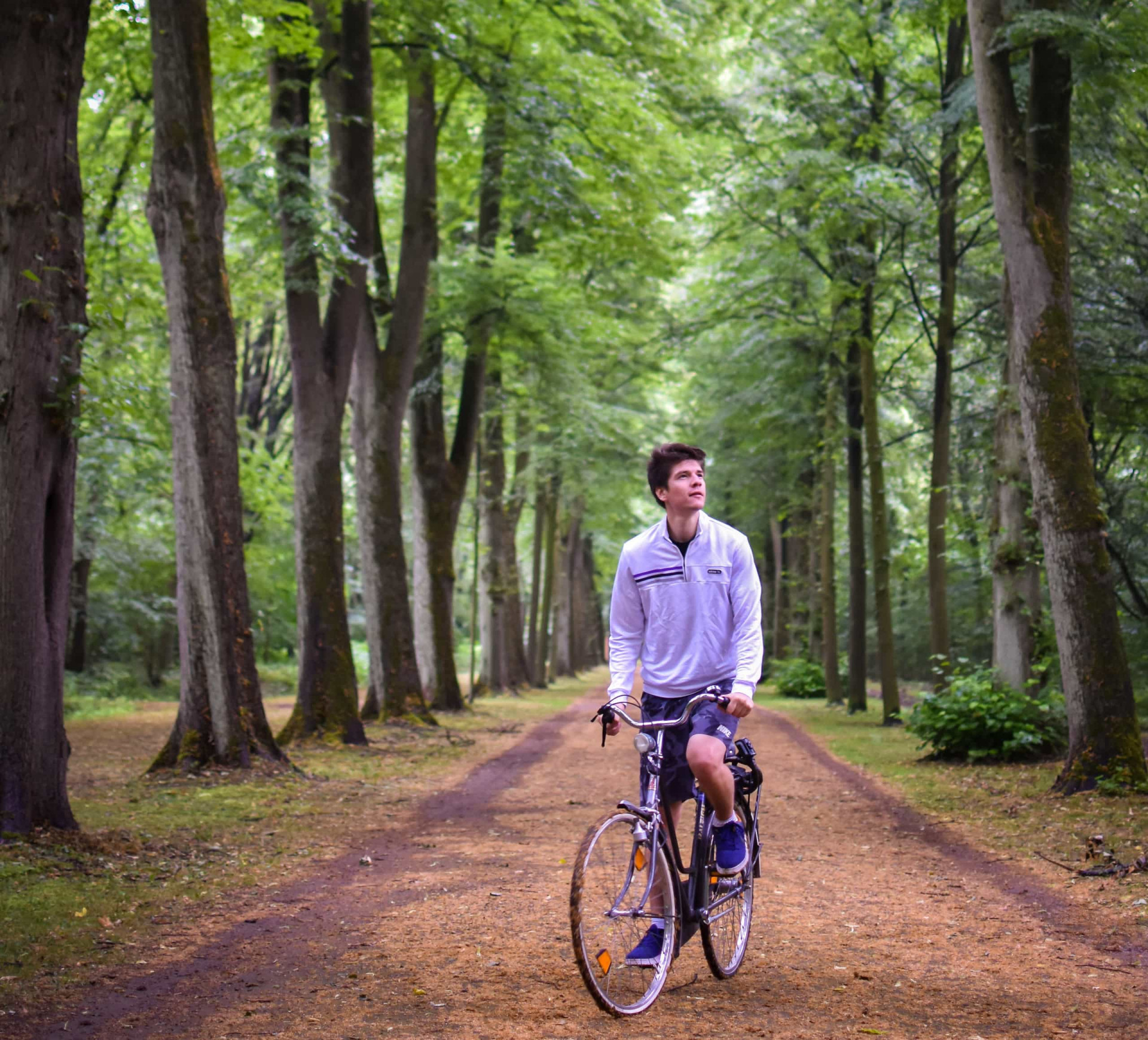 Musicians who've been in multiple successful bands