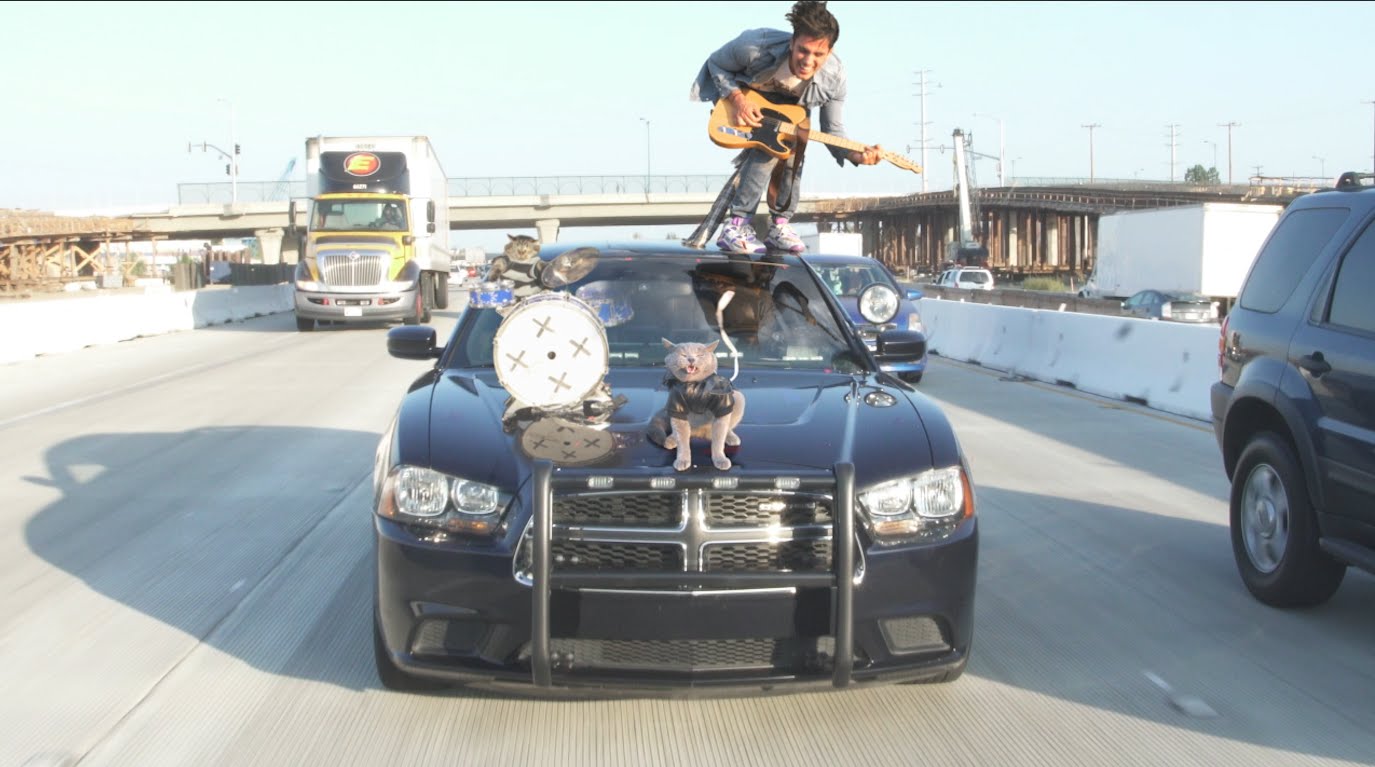 Cat and His Dad Rock Out!