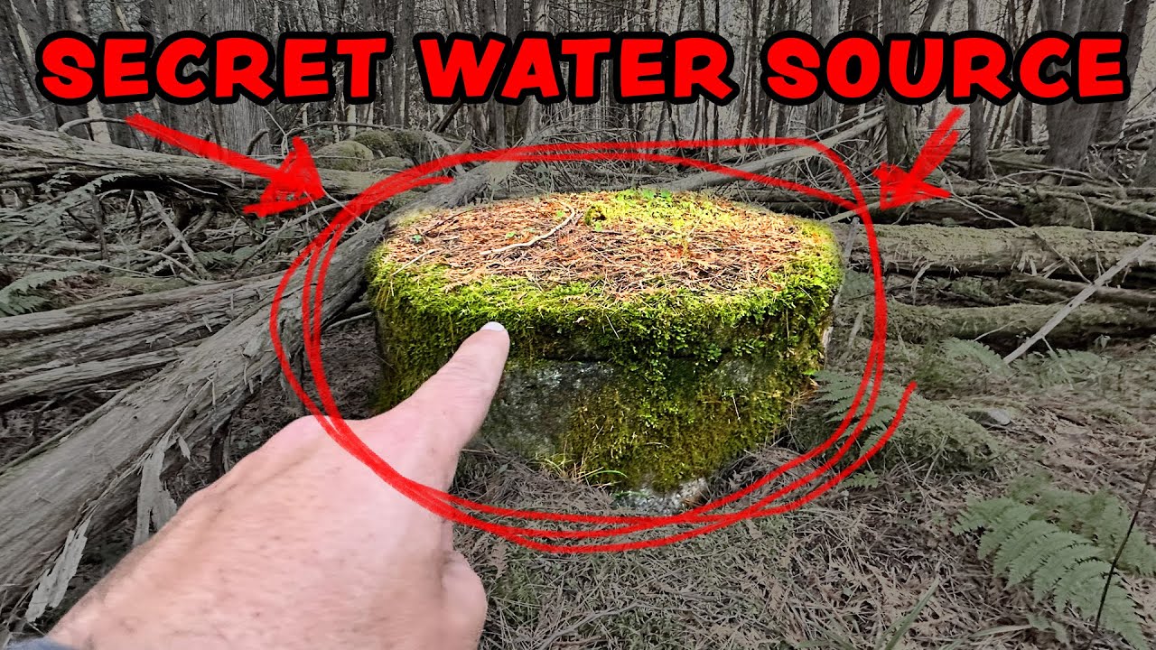 Farmer’s Secret Discovery: A Hidden Freshwater Spring on Site