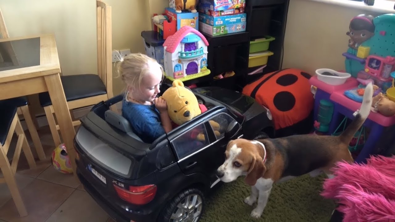 Girl and beagle have epic home playdate fun