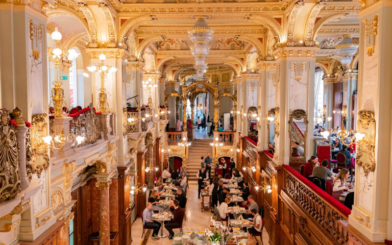 The 50 most beautiful cafes on Earth