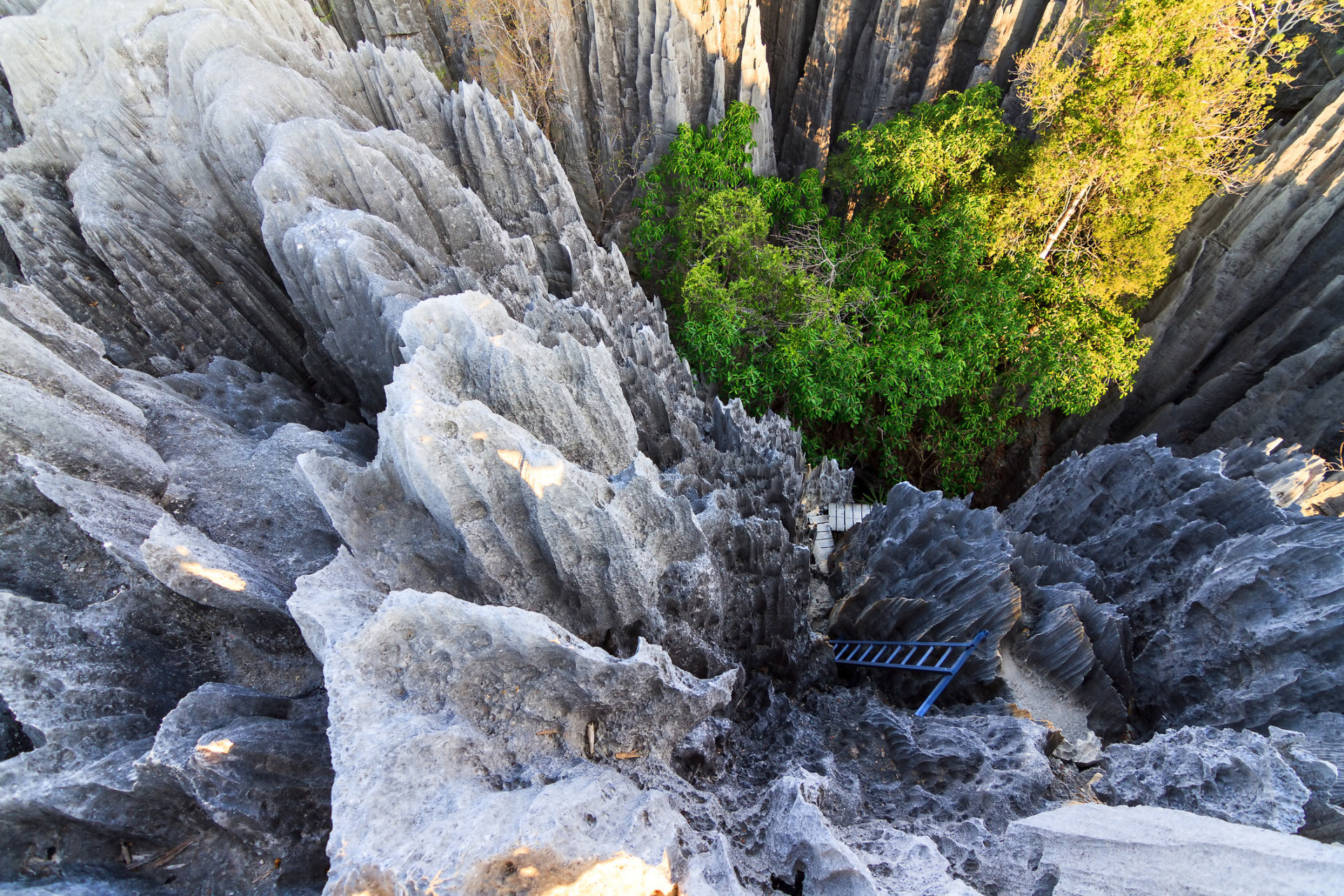 The world's most spectacular stone forest