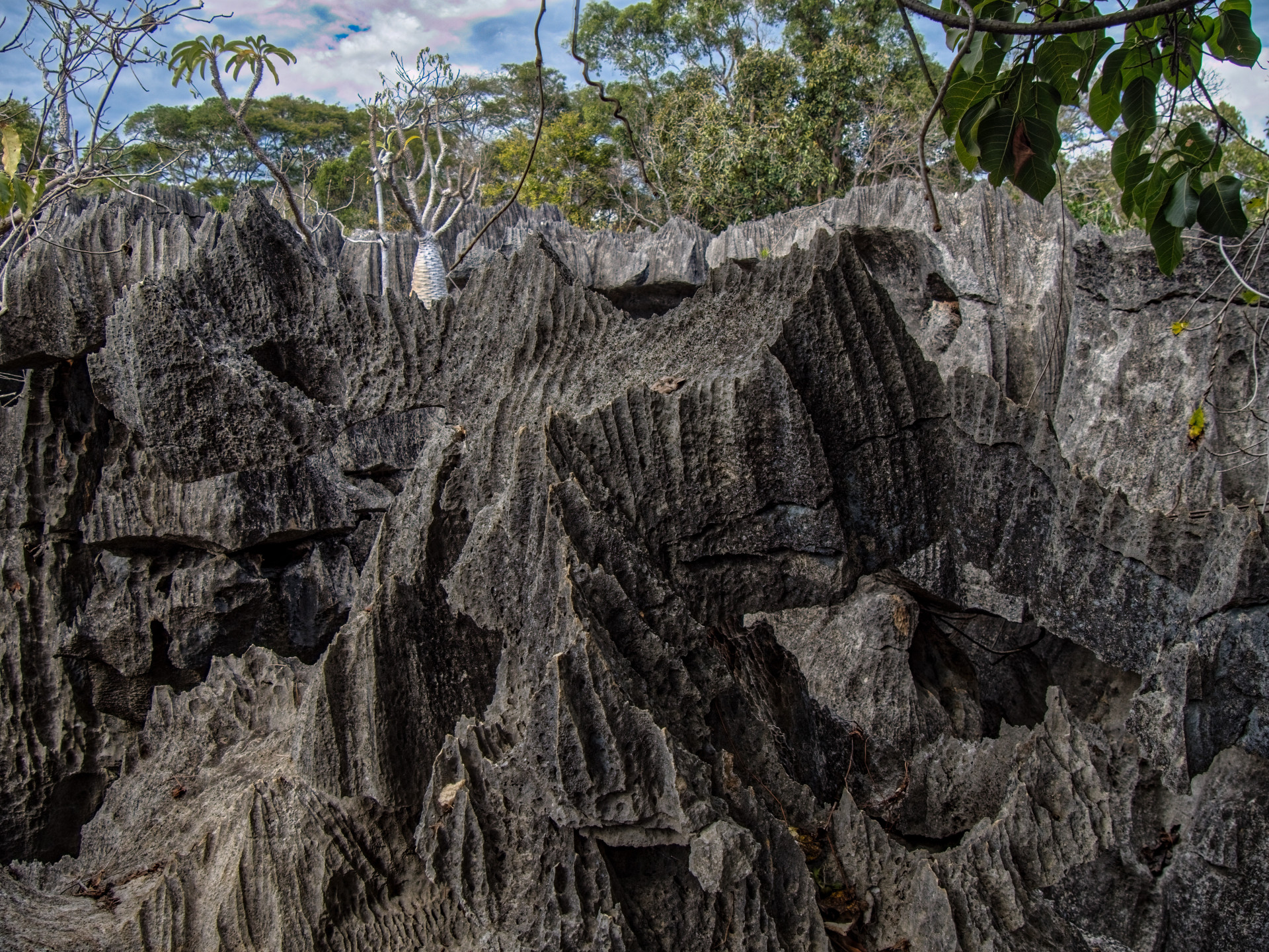 The world's most spectacular stone forest