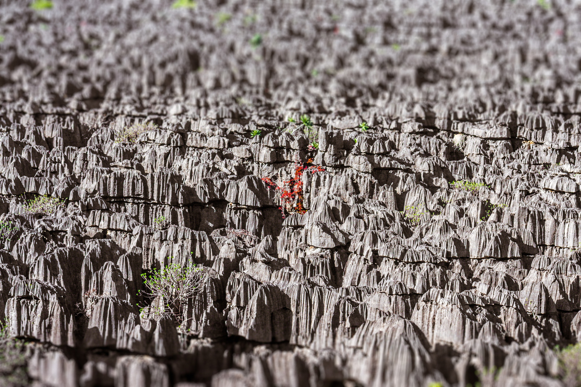 The world's most spectacular stone forest