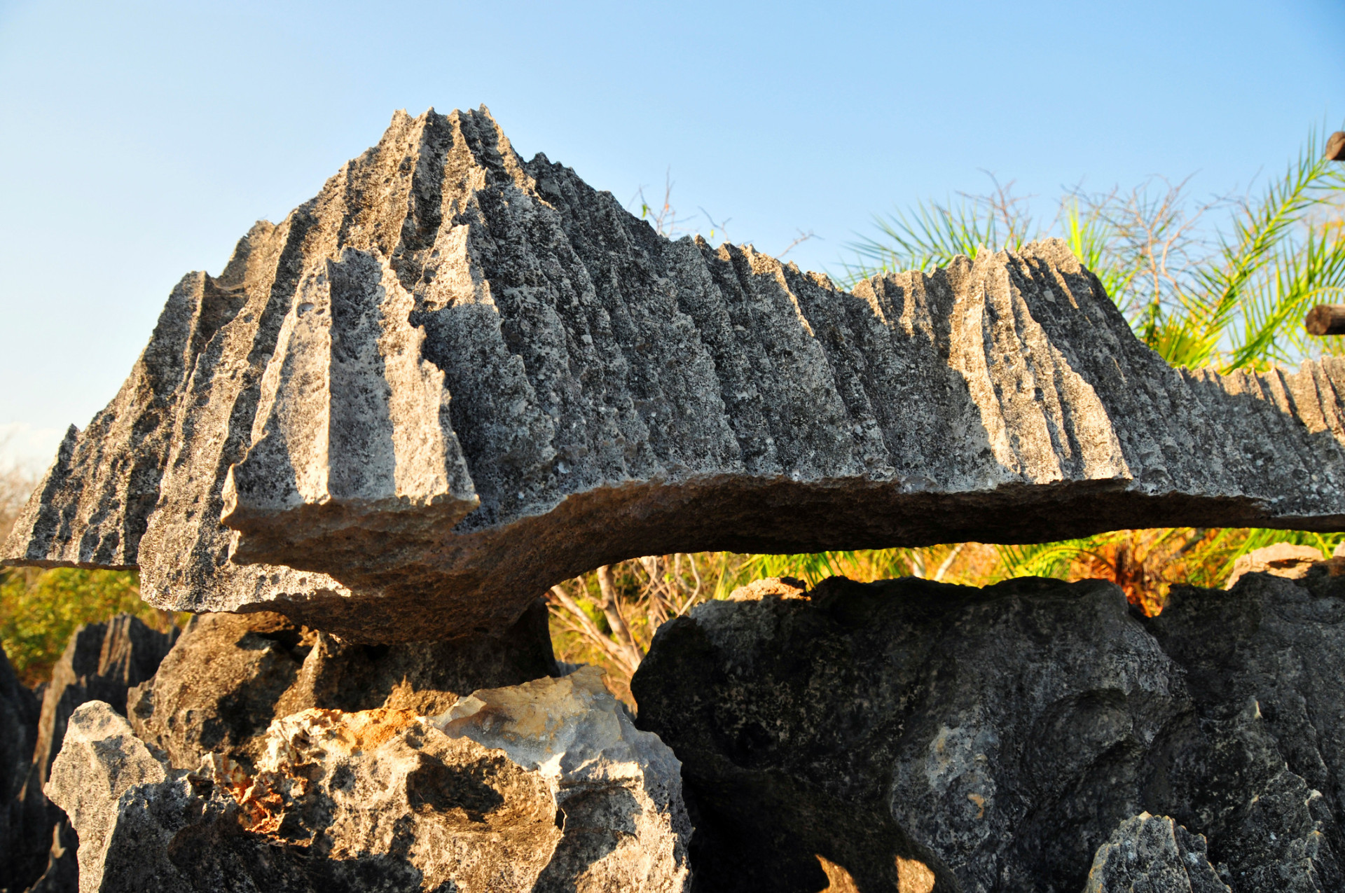The world's most spectacular stone forest