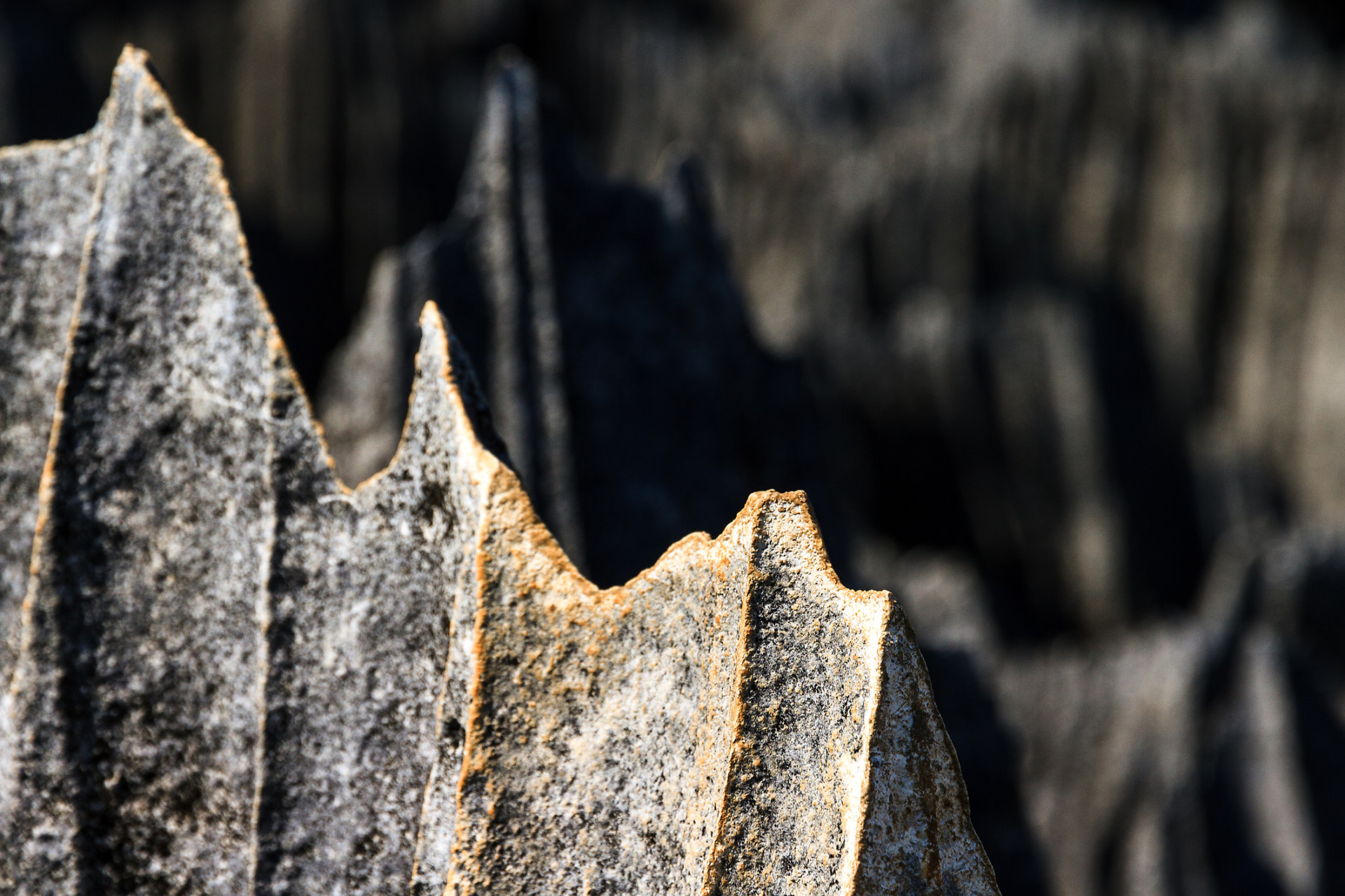 The world's most spectacular stone forest