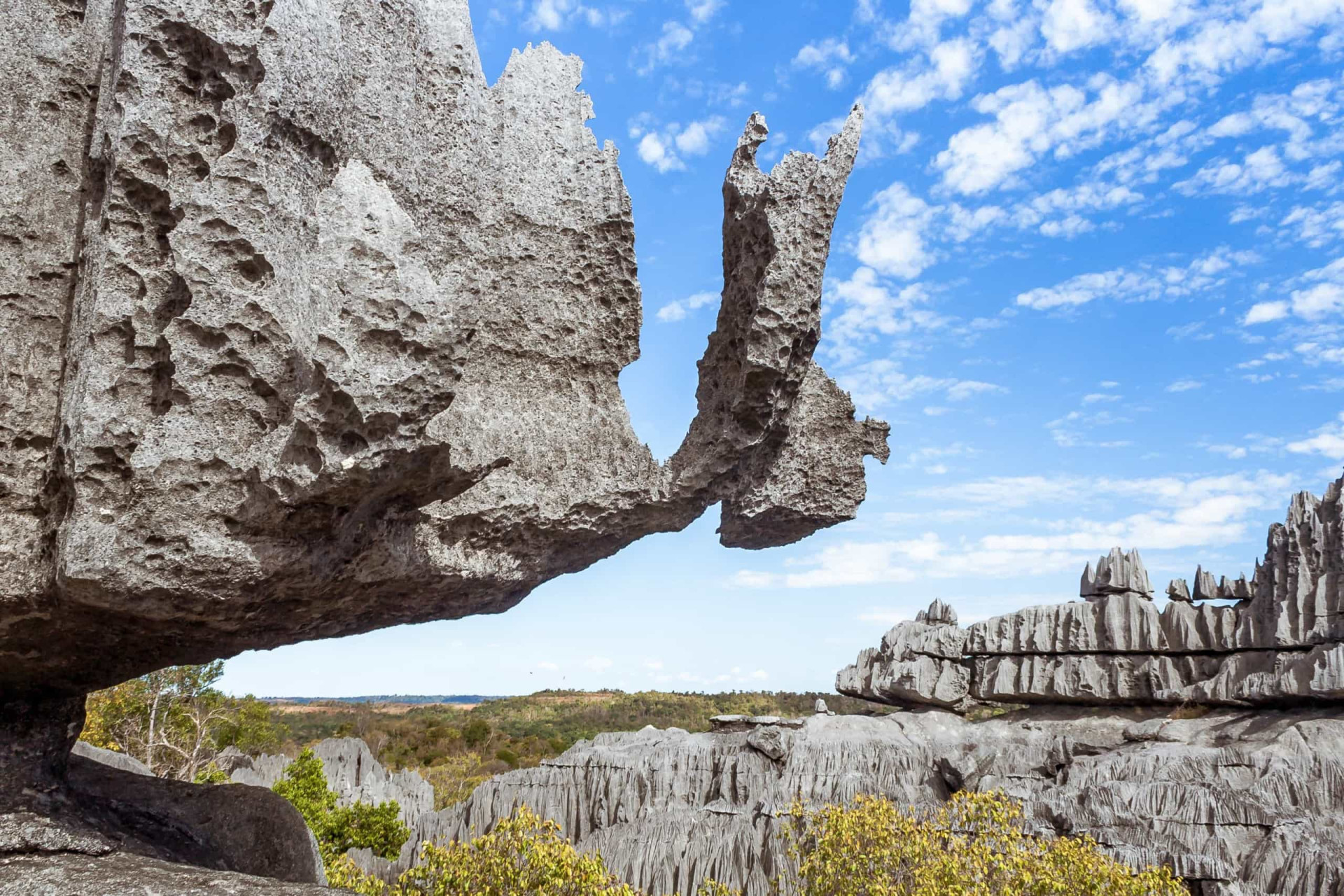 The world's most spectacular stone forest