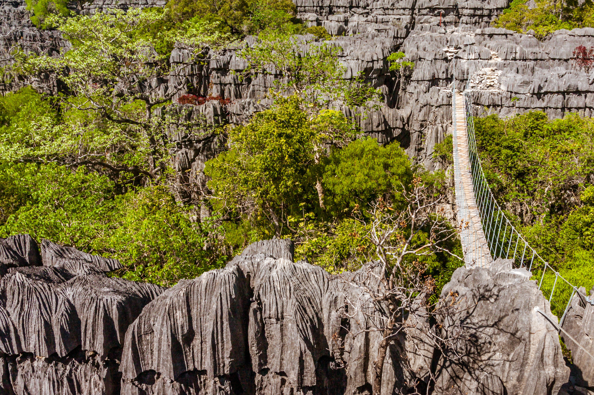 The world's most spectacular stone forest
