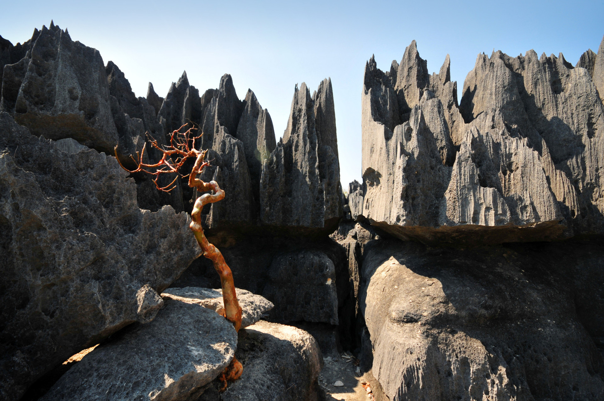 The world's most spectacular stone forest