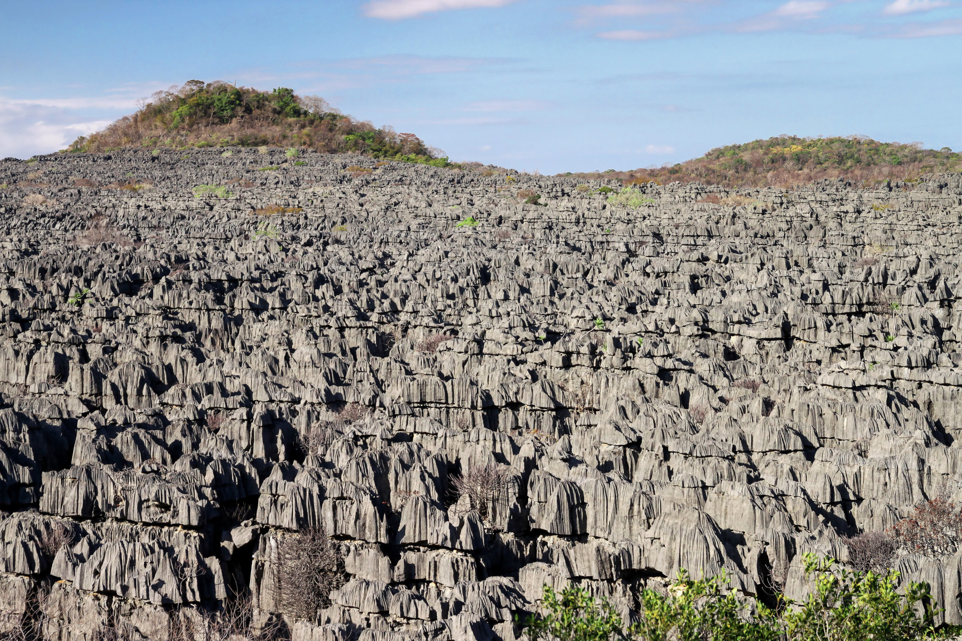 The world's most spectacular stone forest