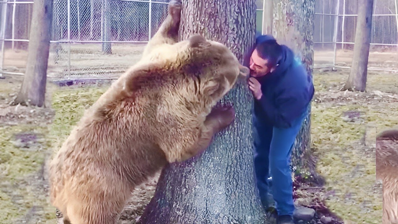 Animal Reunions That Show True Friendship