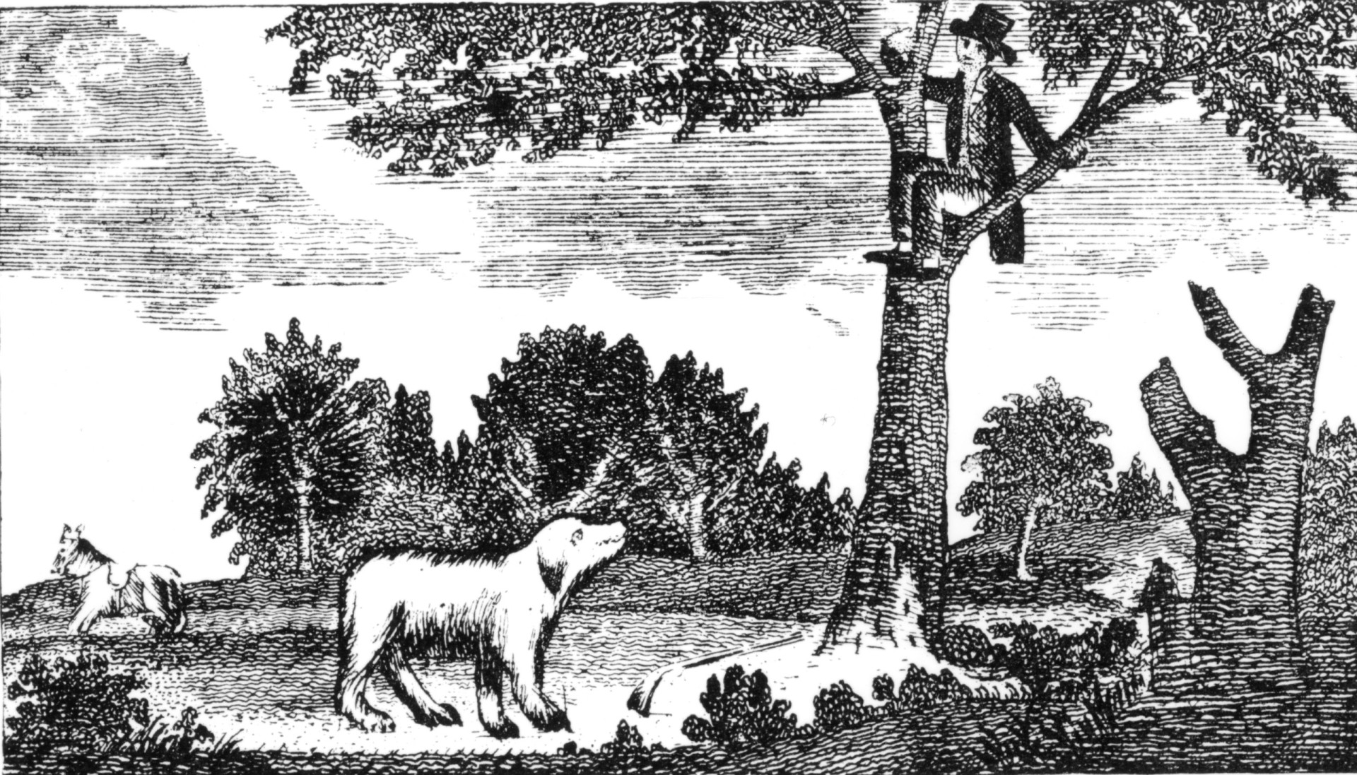 50 firsts: What took place in your state before it happened anywhere else?