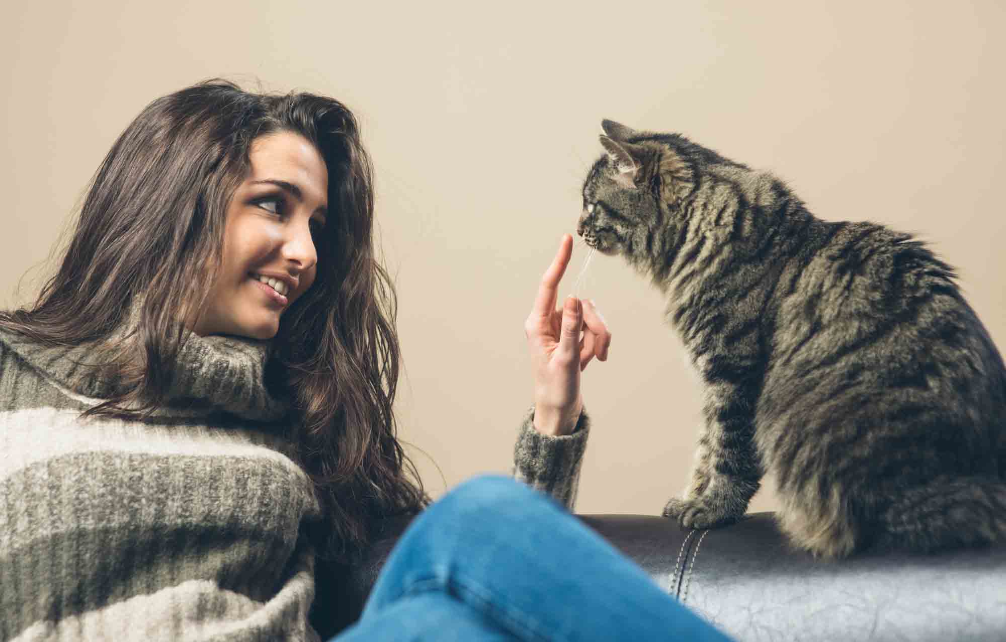 7 Surprising Reasons Your Cat Licks You and Then Bites You