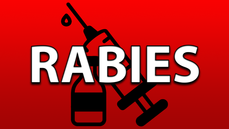 Skunk tests positive for rabies in Monroe County