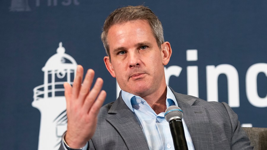 Kinzinger: Musk’s chainsaw moment will feature in Democratic attack ads