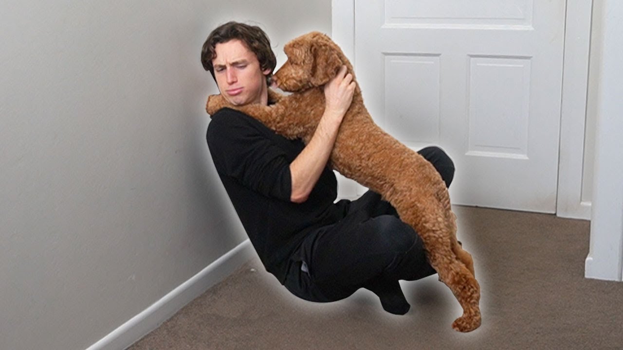 Training a Pet to Hug on Command Reveals Emotional Science