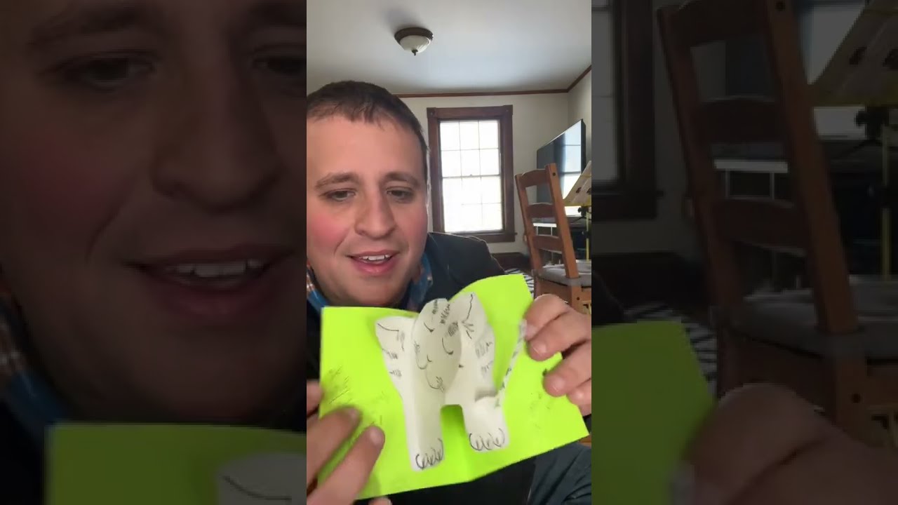 Pablo Barn Cat Health Update