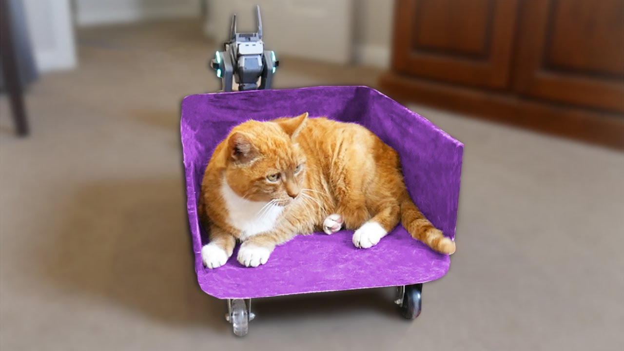 I built a train designed for my cat