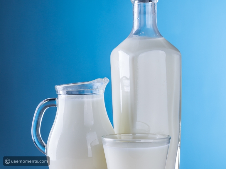 Fun facts about milk