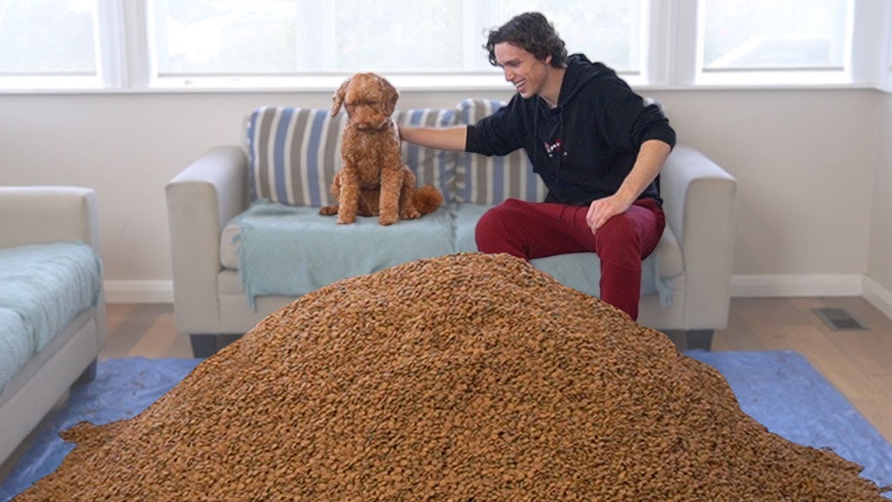 Surprising My Dog With 1,000,000 Dog Biscuits: Fun Reactions