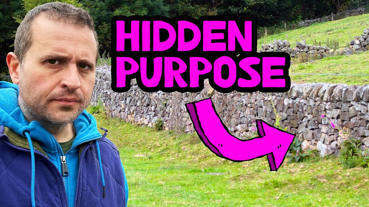 The Mystery Behind New England's Stone Walls: A Strange Origin Story