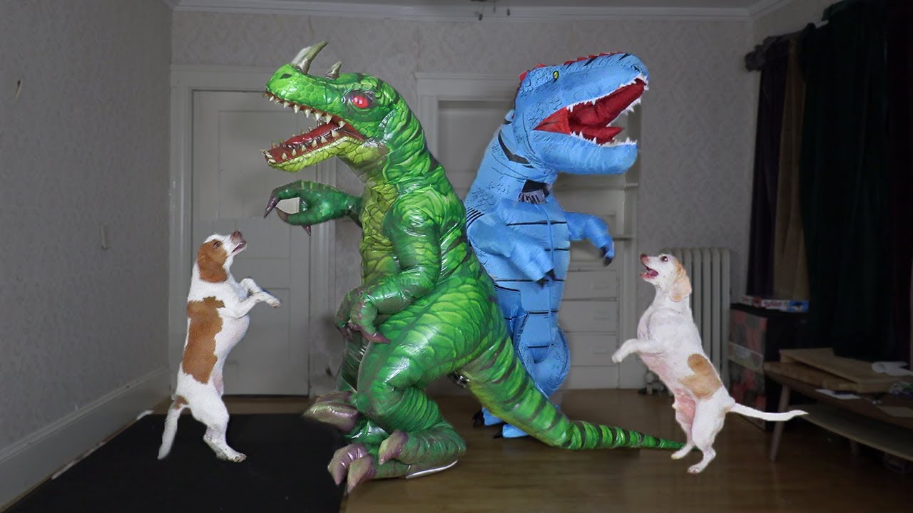 Dogs dance with a dinosaur in silly party prank