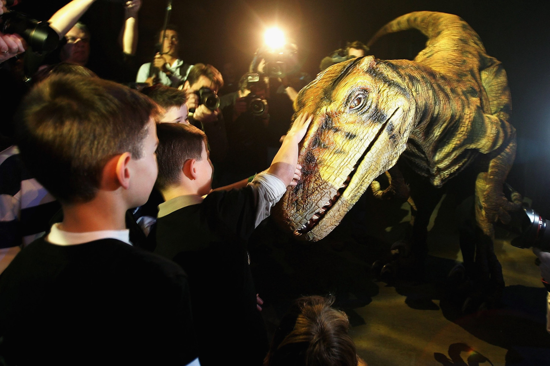 What do we actually know about dinosaurs?